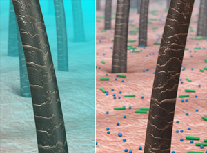 Preparing for Surgery: CHG Skin Cleanser (Soap, Shower) - Willis ...