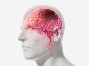 Mini-Stroke Warning Signs (Transient Ischemic Attack; TIA) - Willis ...