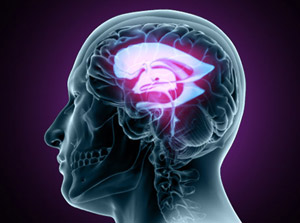 Normal Pressure Hydrocephalus (NPH) - Willis Knighton Health ...
