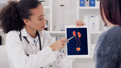 What Does a Nephrologist Do? - Willis Knighton Health - Shreveport ...